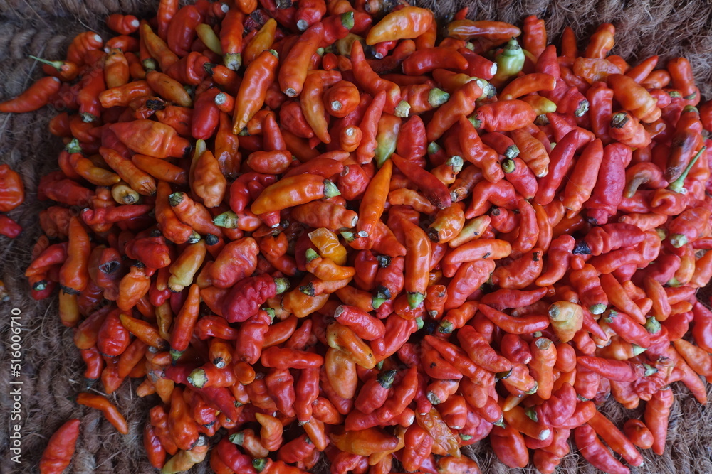 Cayenne pepper (Capsicum frutescens) is a fruit and plant member of the ...
