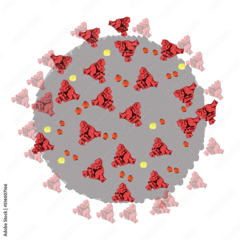 COVID-19 Virus Vector Graphic. Asset via Adobe XD. Designed by Kayla ...