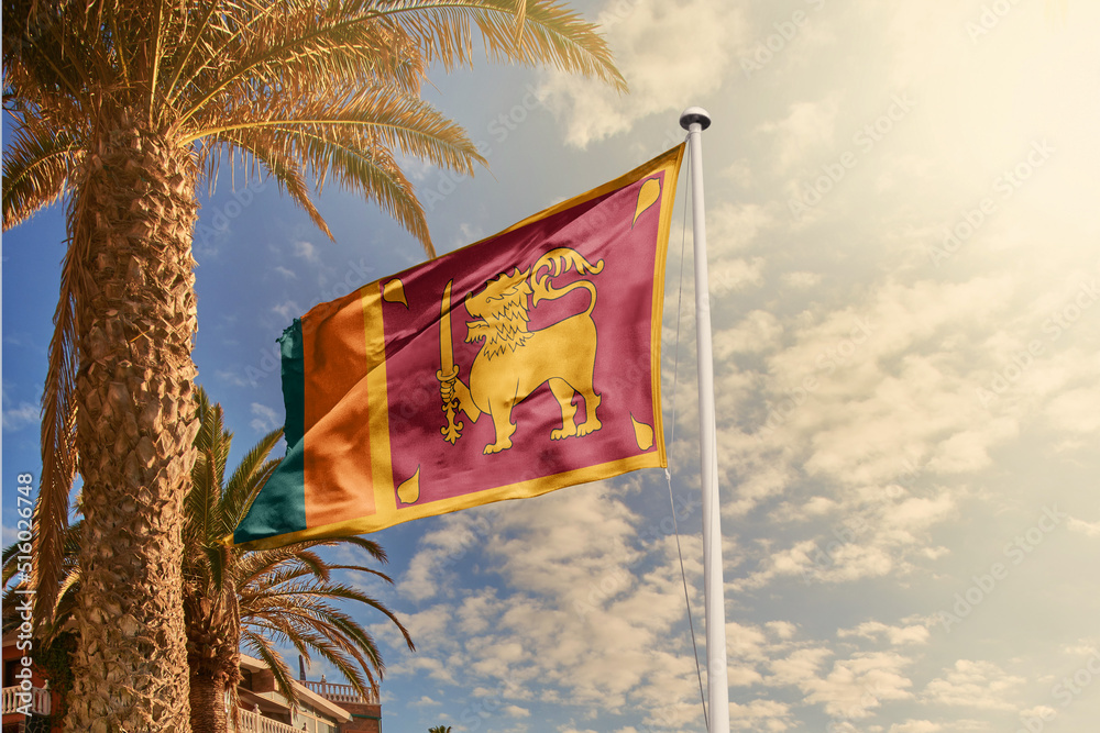 flag Democratic Socialist Republic of Sri Lanka,Ceylon Stock Photo ...