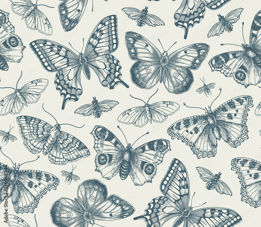 Seamless pattern. Butterfly Butterflies animals moths insect fly ...