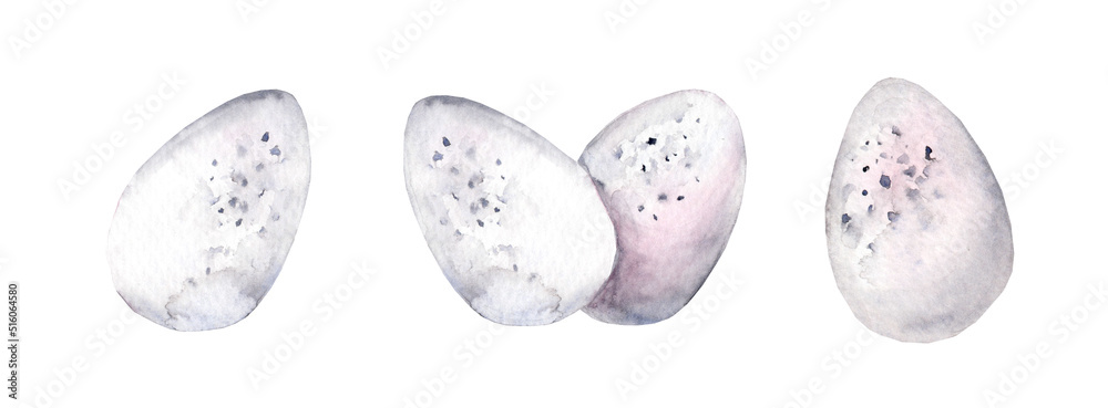 Set of watercolor illustrations of bird eggs. Hand drawn realistic ...