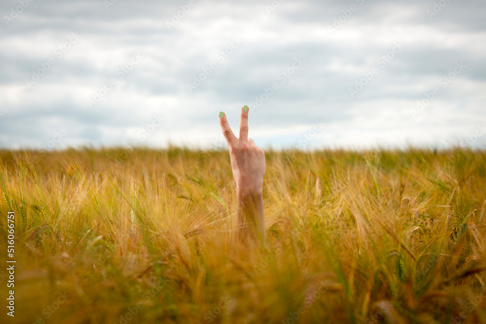 Hand with two fingers up in the peace or sign for symbol of peace or ...