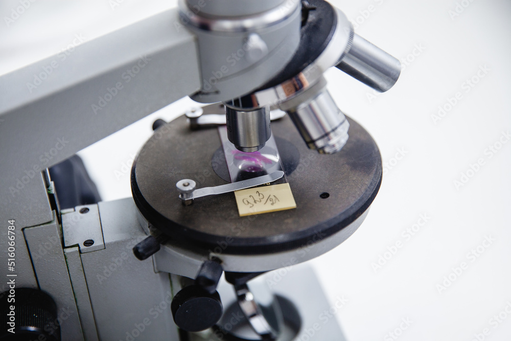 Modern microscope with stained histology slide which is ready for ...
