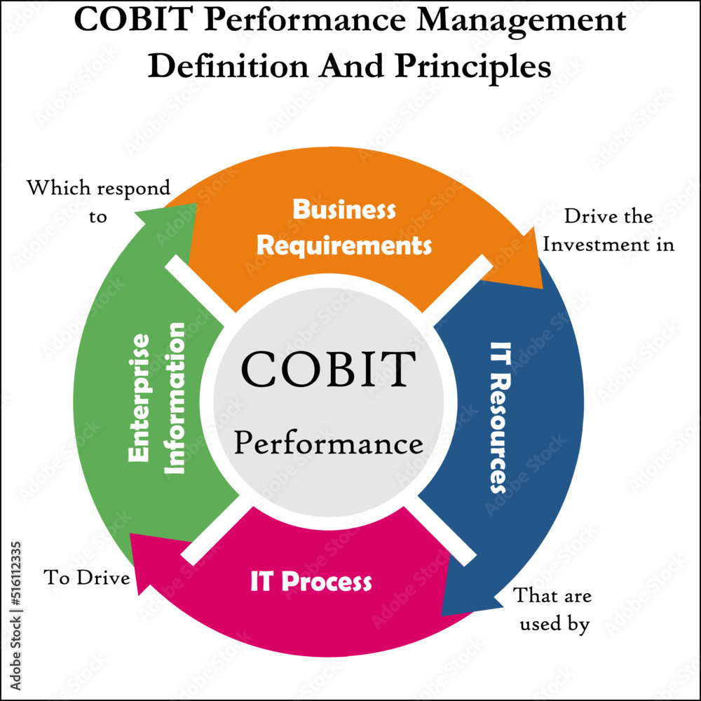COBIT Performance Management, Definition and Principles in an ...