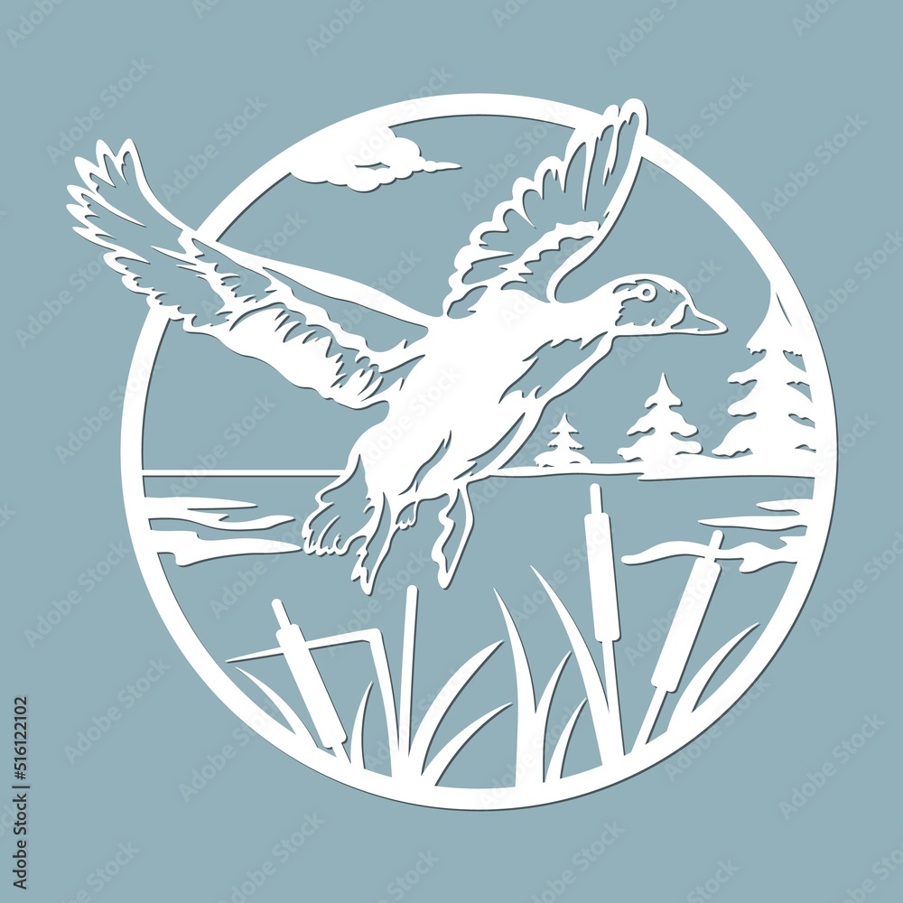 Vector illustration. The flight of a drake and a duck in a frame ...