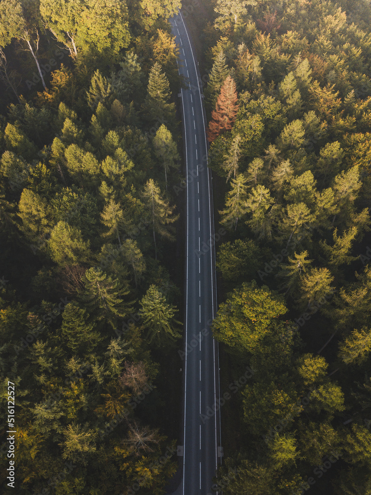 Top view of green forest landscape wallpaper. Aerial nature scene of ...