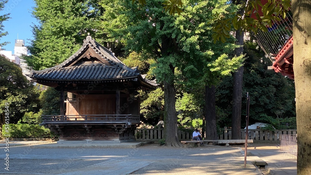 July summer scene of Japanese shrine, the ancient wooden structure ...