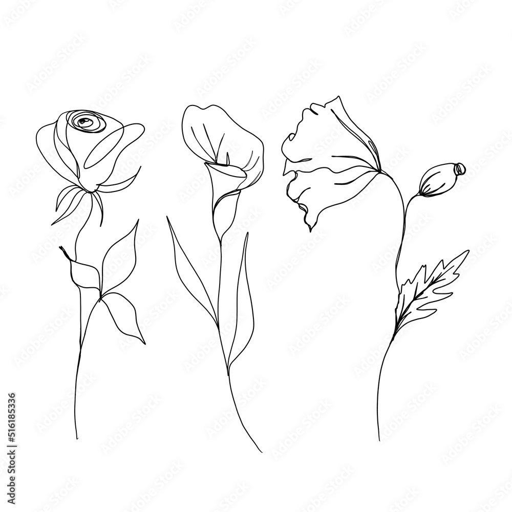 set of flowers continuous line drawing. One line art. minimalism sketch ...