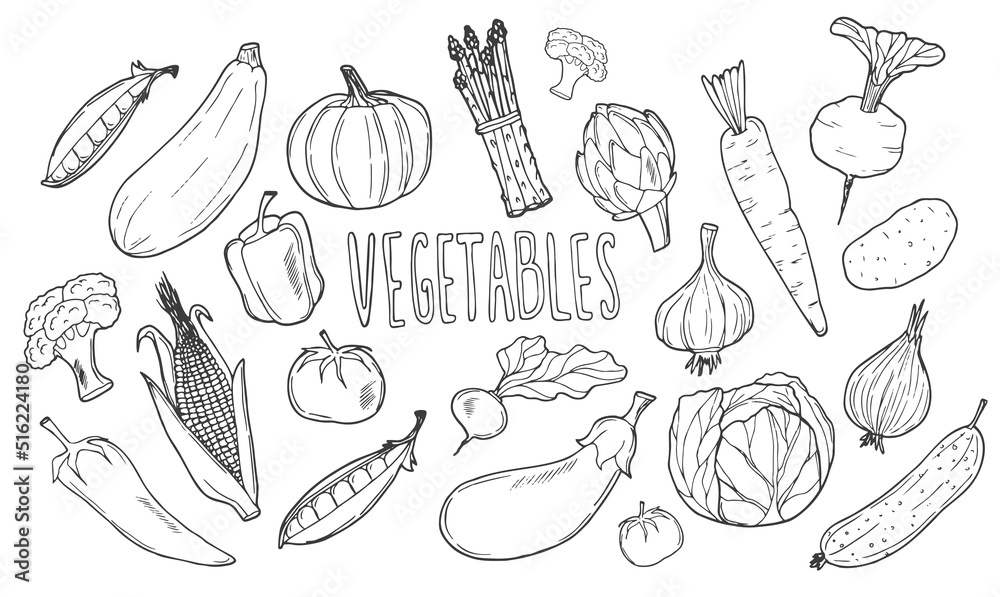 Vegetables doodle drawing collection. vegetable such as carrot, corn ...