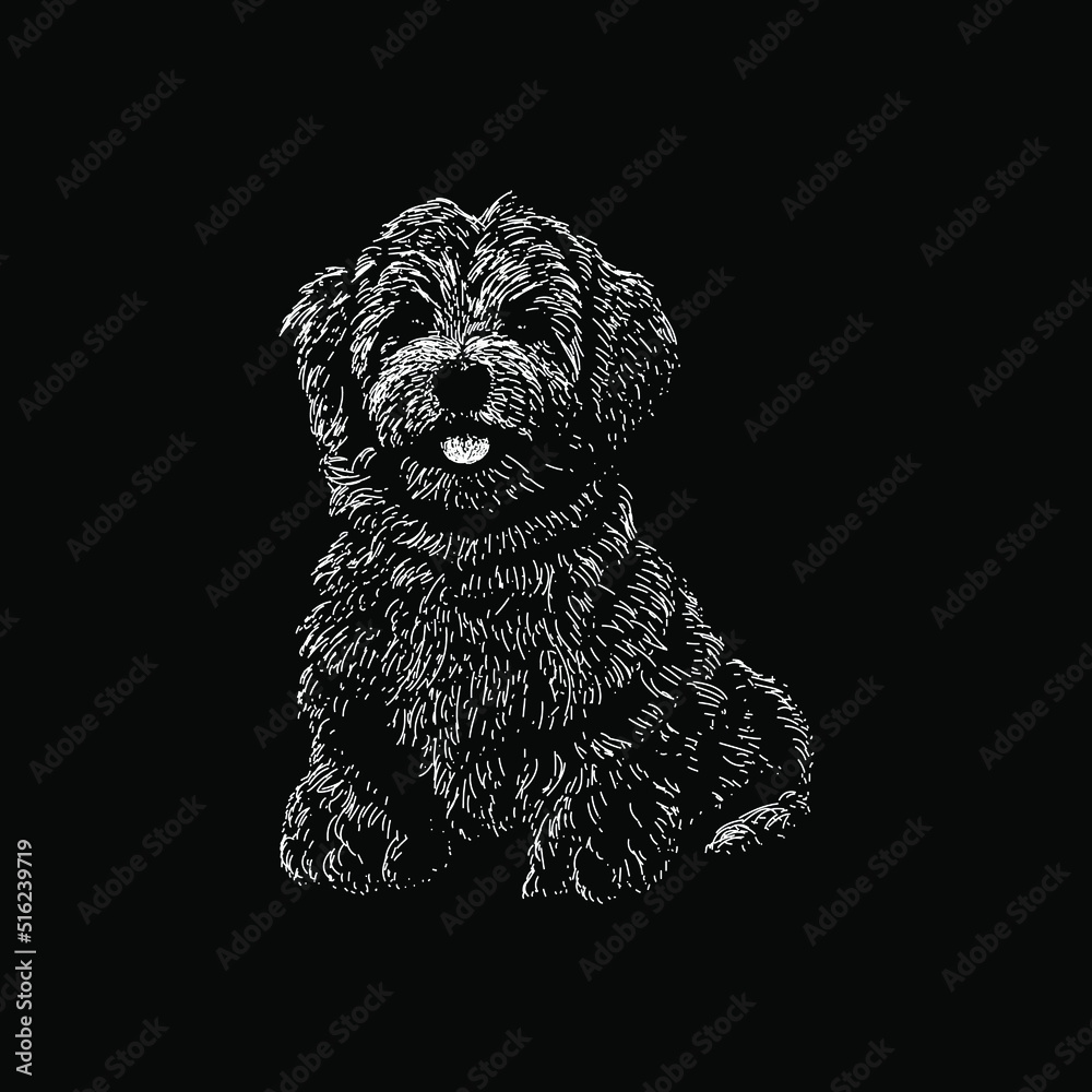 Havanese hand drawing vector illustration isolated on black background ...