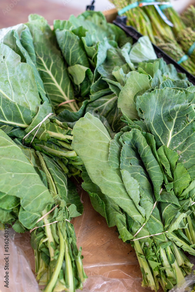Multiple bunches of collard greens are gathered by an elastic band. The ...