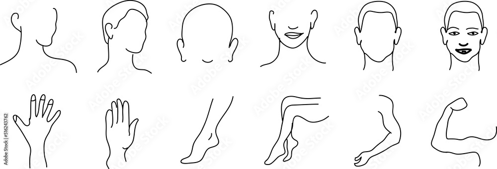 Vector image set of female body parts line icons. on white background ...