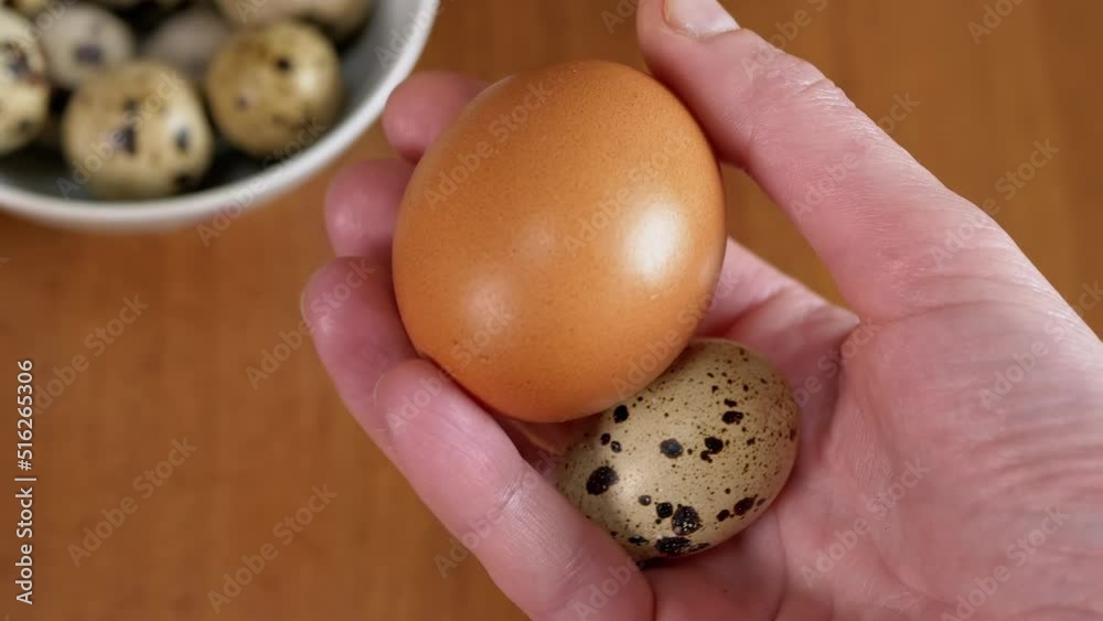 Woman Holding in her Hands One Large Chicken Egg and One Small Quail ...