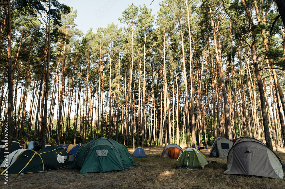 summer camp in the forest. dawn in the forest against the background of ...