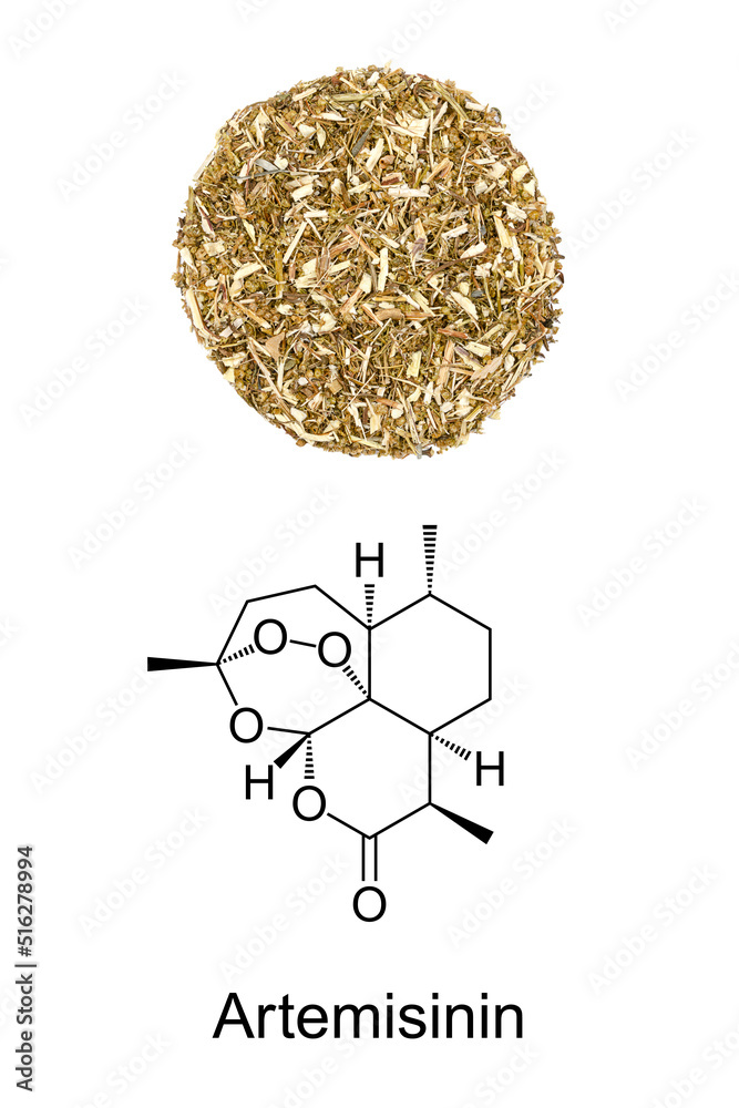 Artemisia annua herb circle, and the chemical formula of artemisinin ...