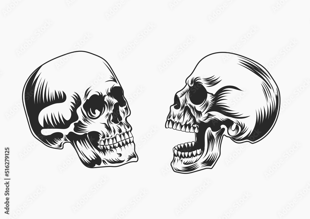 Skull Profile View Vector