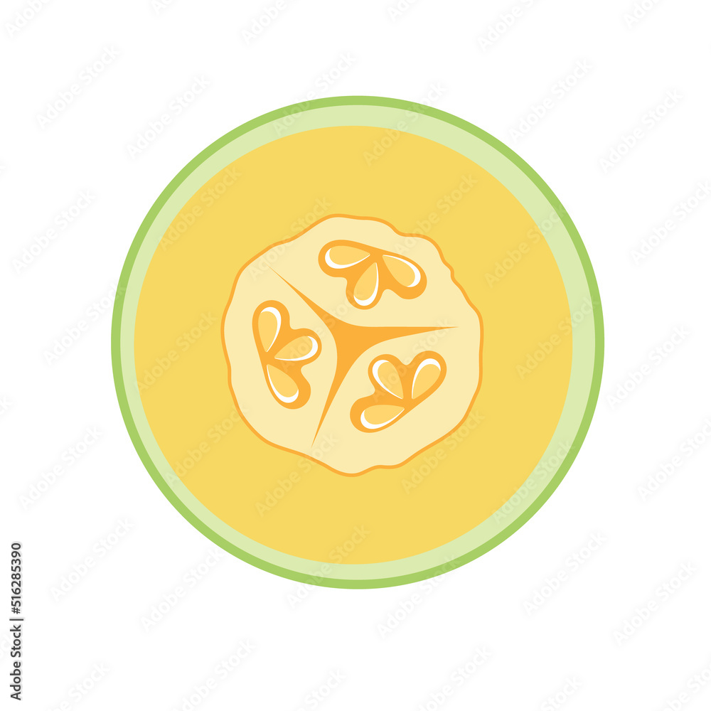 Vecteur Stock Round slice of melon. Piece of Fresh and Juicy melon ...