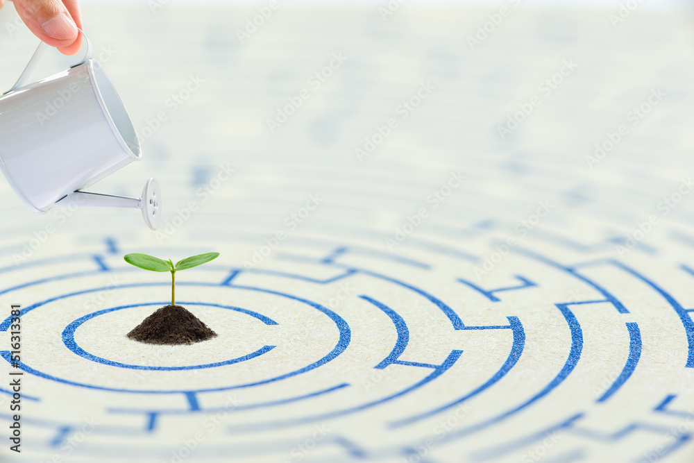 Nature versus nurture : Hand pours water from a watering can to a green ...