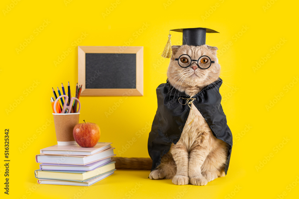 Welcome back to school poster. Funny cat schoolboy on yellow background ...