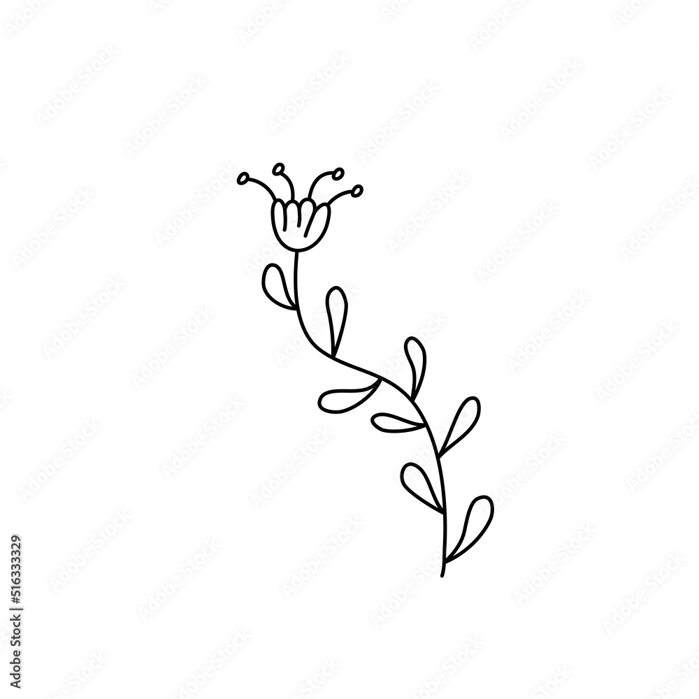 Flower vector simple botanical illustration, line artwork, minimal ...