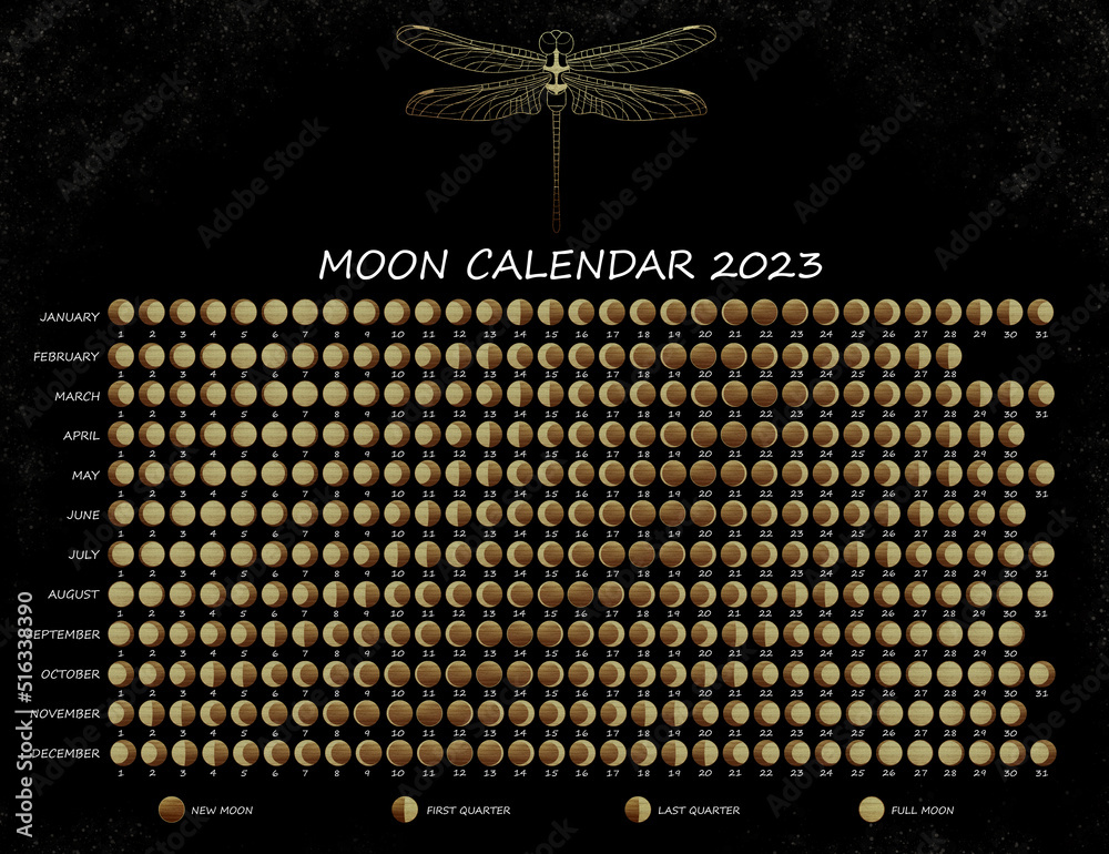 Lunar calendar 2023. Moon phases calendar for 2023 with beautiful ...