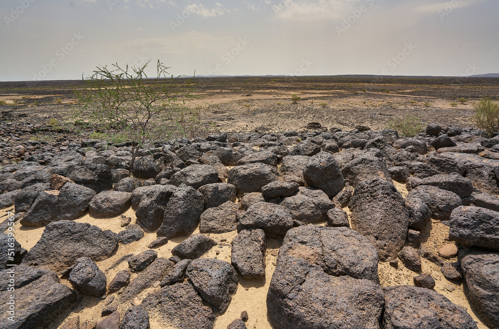The Afar people lives in Ethiopia in the Danakil desert. Photos | Adobe ...