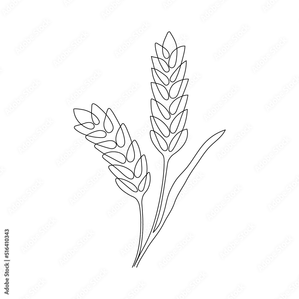Wheat grain ear, nature bread, one single continuous art line drawing ...