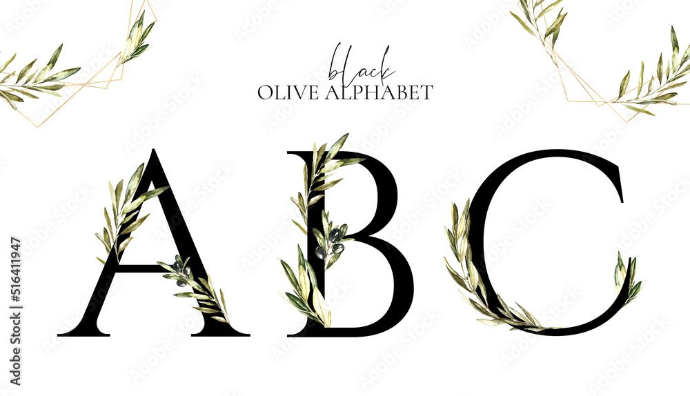 Watercolor Black Olive Floral Alphabet letters A,B,C with leaves ...