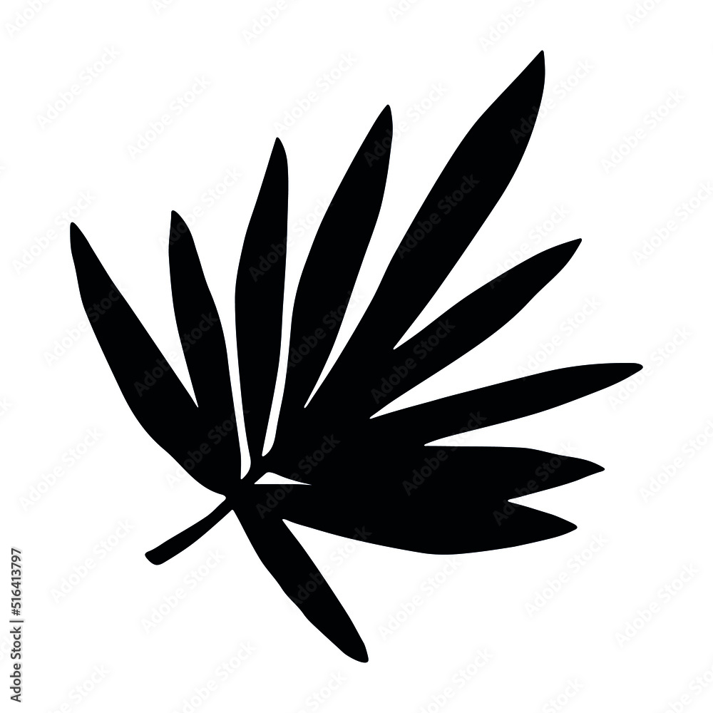 Simple tropical leaf illustration. Hand drawn vector clipart. Botanical ...