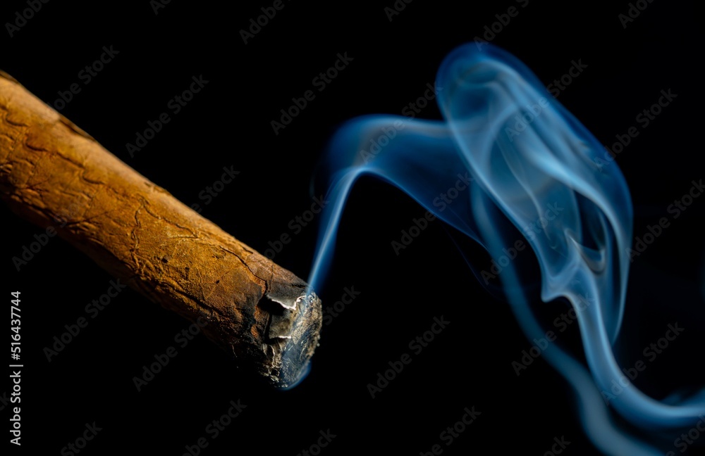 Smoking cuban cigar with blue smoke on an isolated black background. A ...