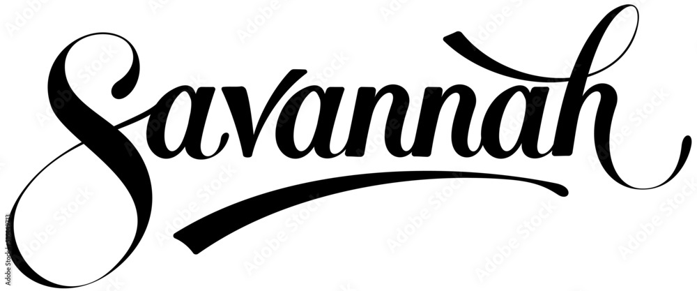 Savannah Custom Calligraphy Text Stock Vector Adobe Stock