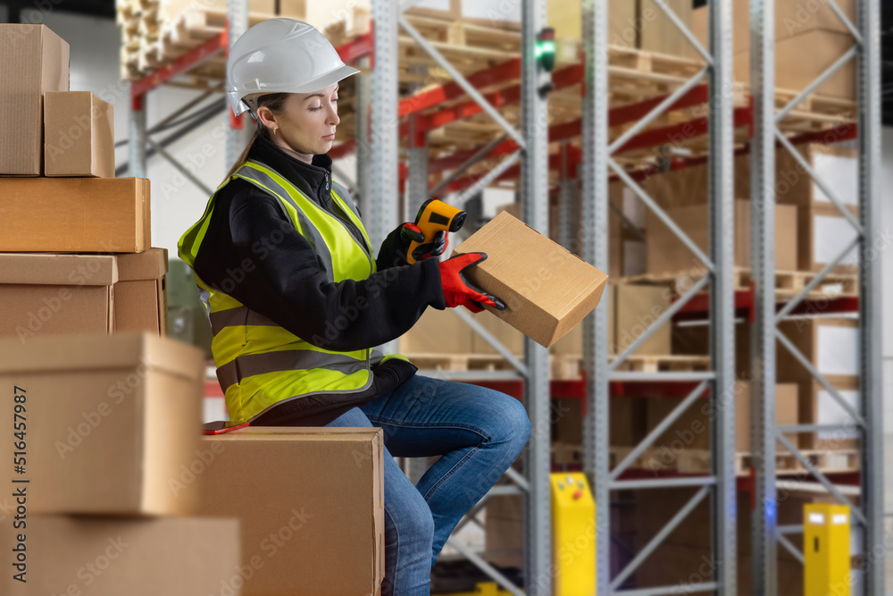 Customs clearance. Woman with scanner in warehouse. Woman works in ...