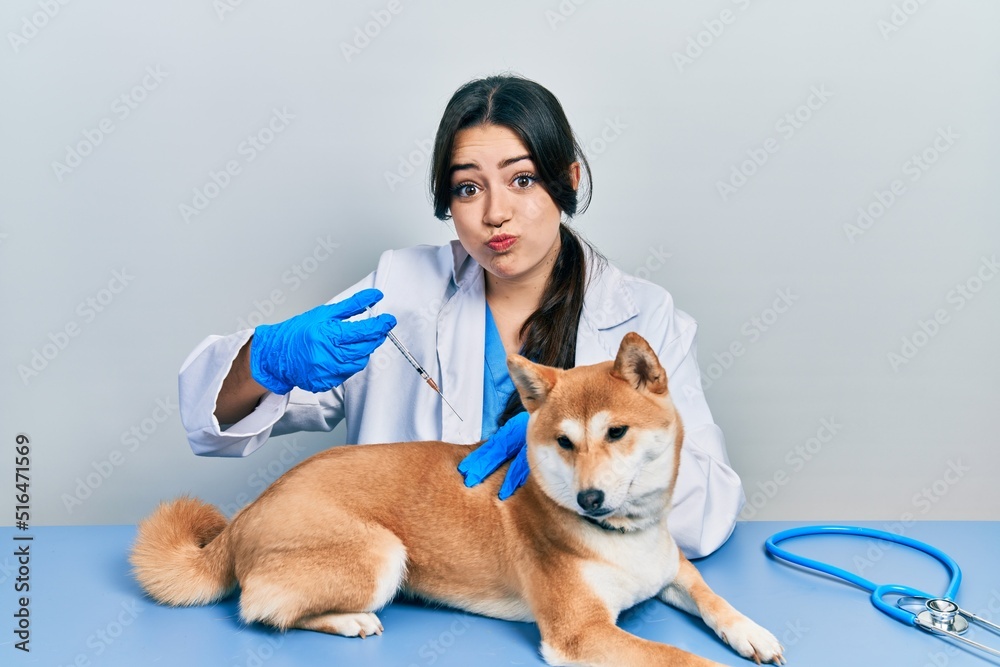 Beautiful hispanic veterinarian woman putting vaccine to puppy dog ...