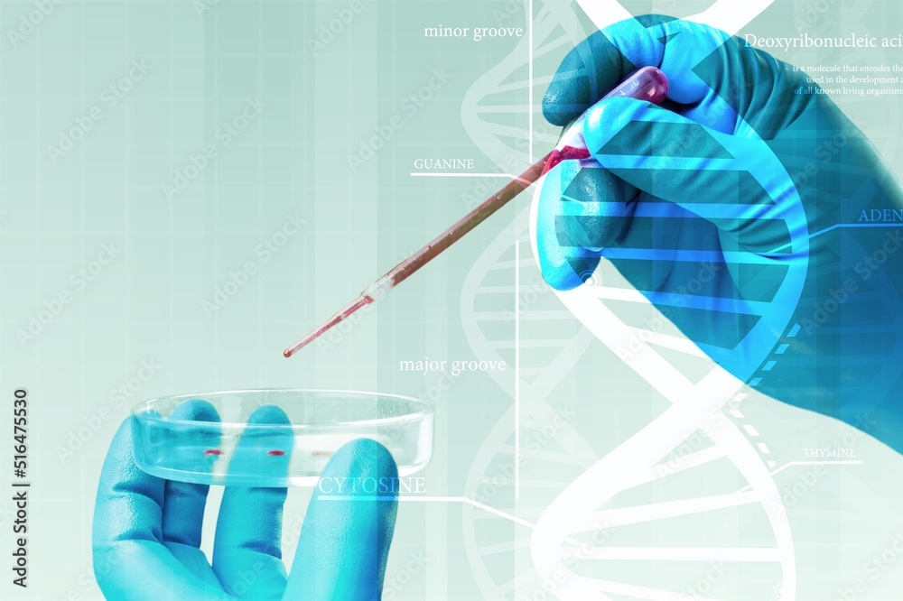 Scientist with virtual screen with data scientific at genetic ...