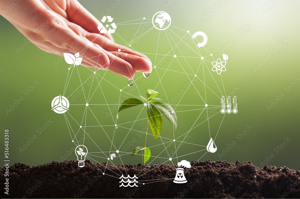 Hand holding green plant with icons energy sources for renewable ...