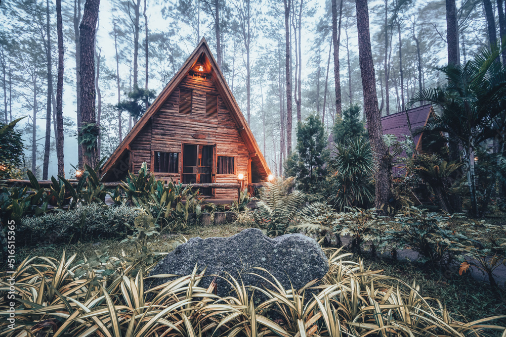 Pinewood cabin in pine forest green on nature trail. Wooden house or ...
