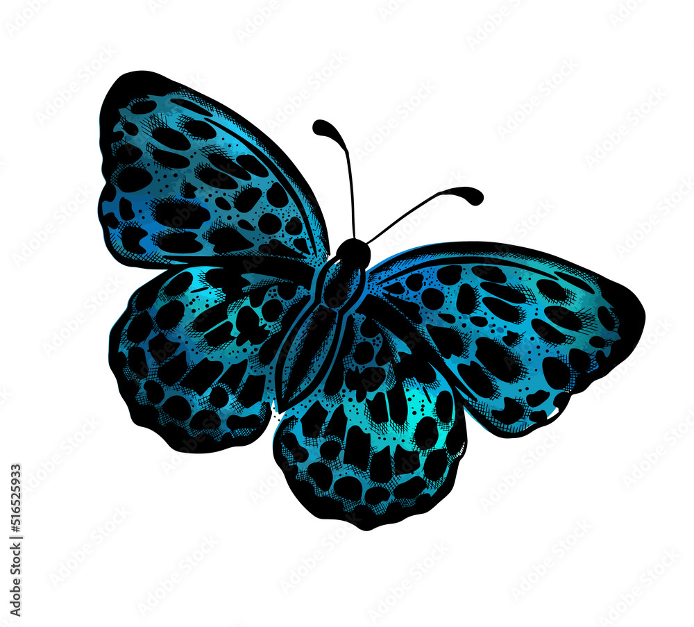 Beautiful blue butterfly. Vector illustration Stock Vector | Adobe Stock
