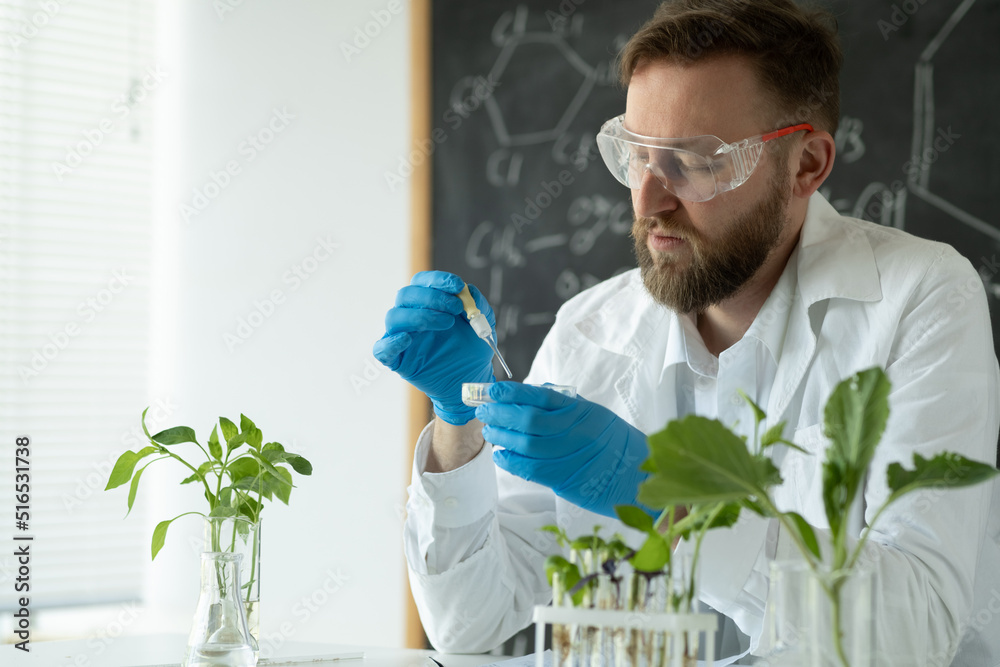 Scientist biochemist in laboratory using dropper for plant, gmo grown ...