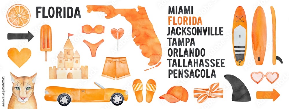 Watercolour sketch collection of various Florida State symbols: outline ...