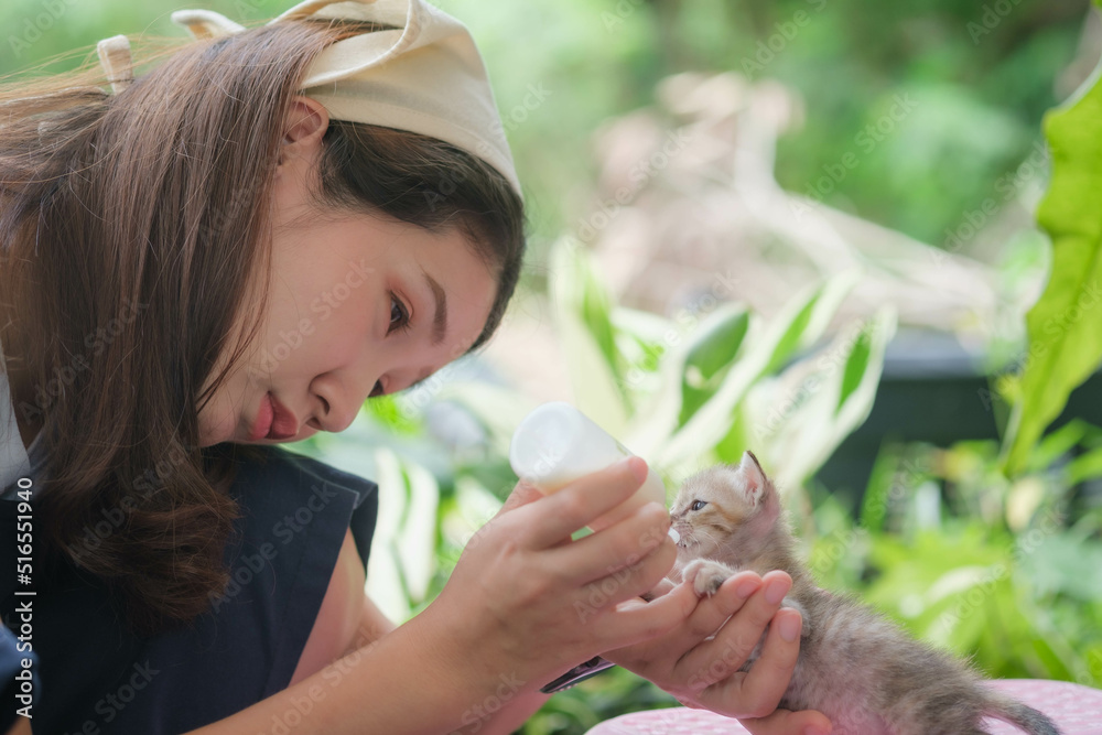 beautiful girl feeding your little creamy newborn kitten with milk ...