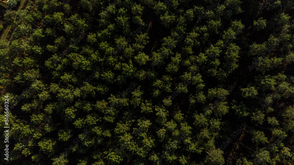 Vue Aérienne de foret Stock Photo | Adobe Stock