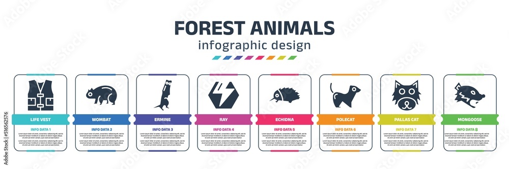 forest animals infographic design template with life vest, wombat ...