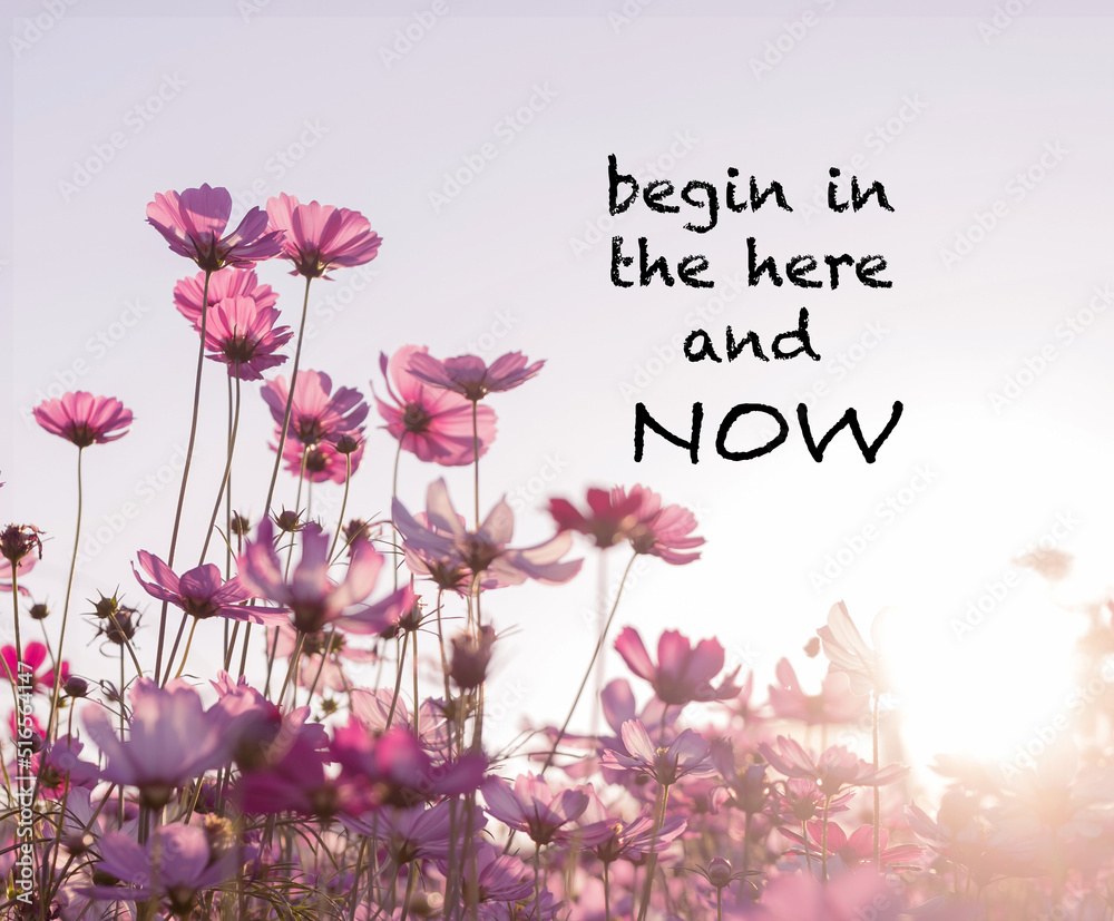 Inspirational quote on flower background Stock Photo | Adobe Stock