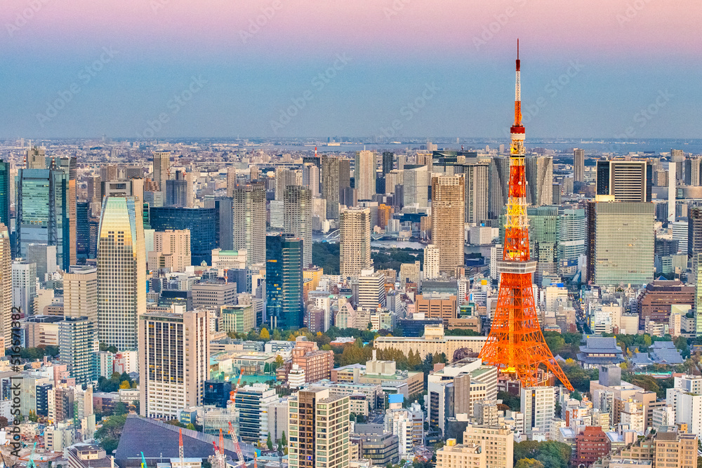 Japanese Travel Destinations. Twilight View of Picturesque Tokyo ...