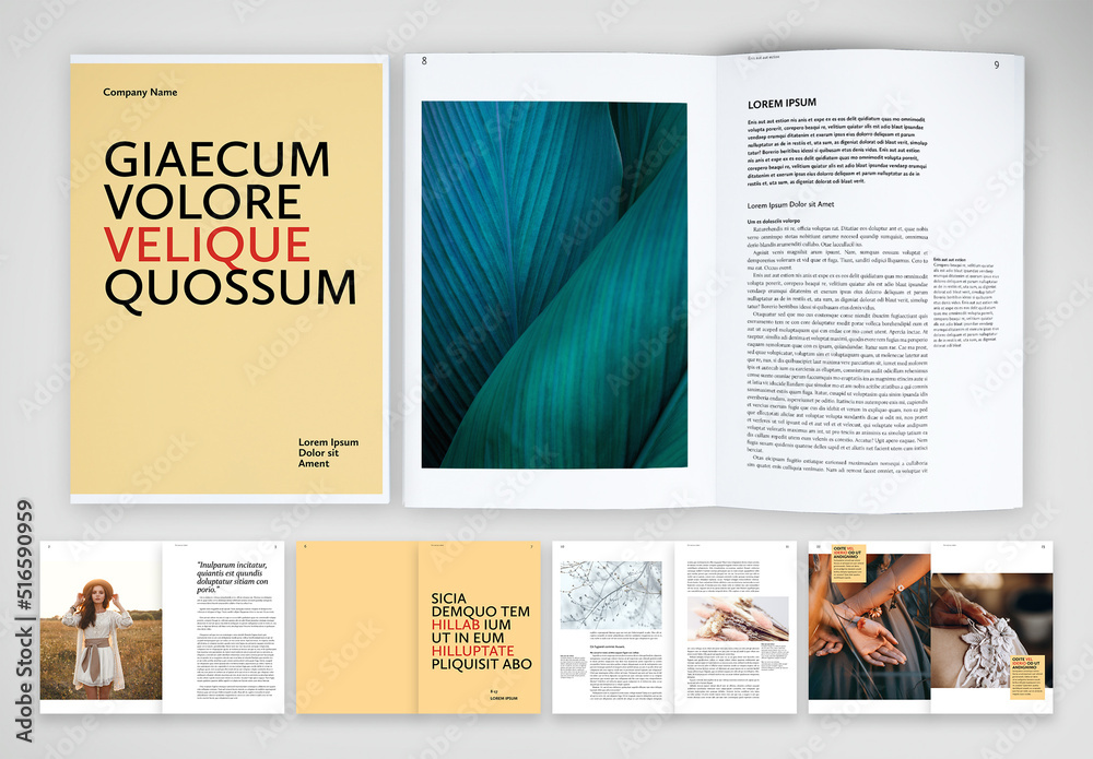 Summary Report Layout Stock Template | Adobe Stock