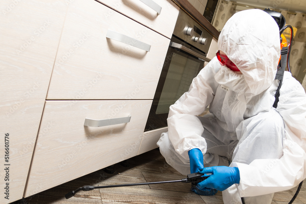 Spray gun with pesticides close-up. An exterminator in work clothes ...