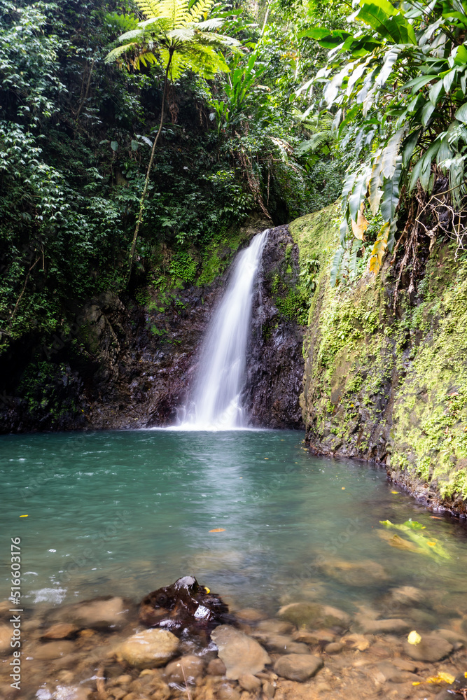 Seven Sisters Waterfalls in Grenada Grand Etang National Park. One of ...