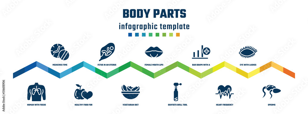 body parts concept infographic design template. included medicines time ...