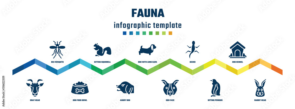fauna concept infographic design template. included big mosquito, goat ...