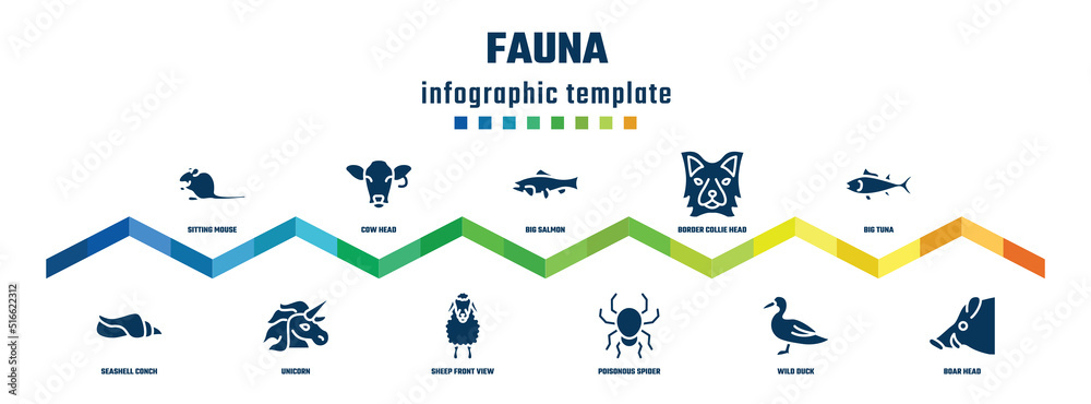 fauna concept infographic design template. included sitting mouse ...